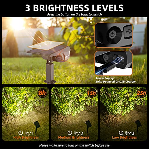 7 Best Solar Outdoor Lights of 2026, Lab-Tested and Reviewed